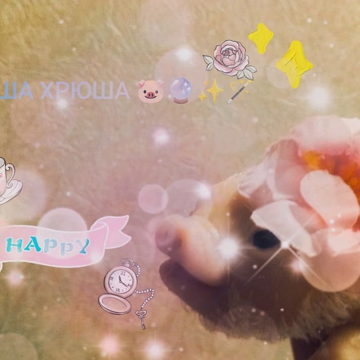 Иконка канала Нюша хрюша 🐷🌸🪄✨🔮