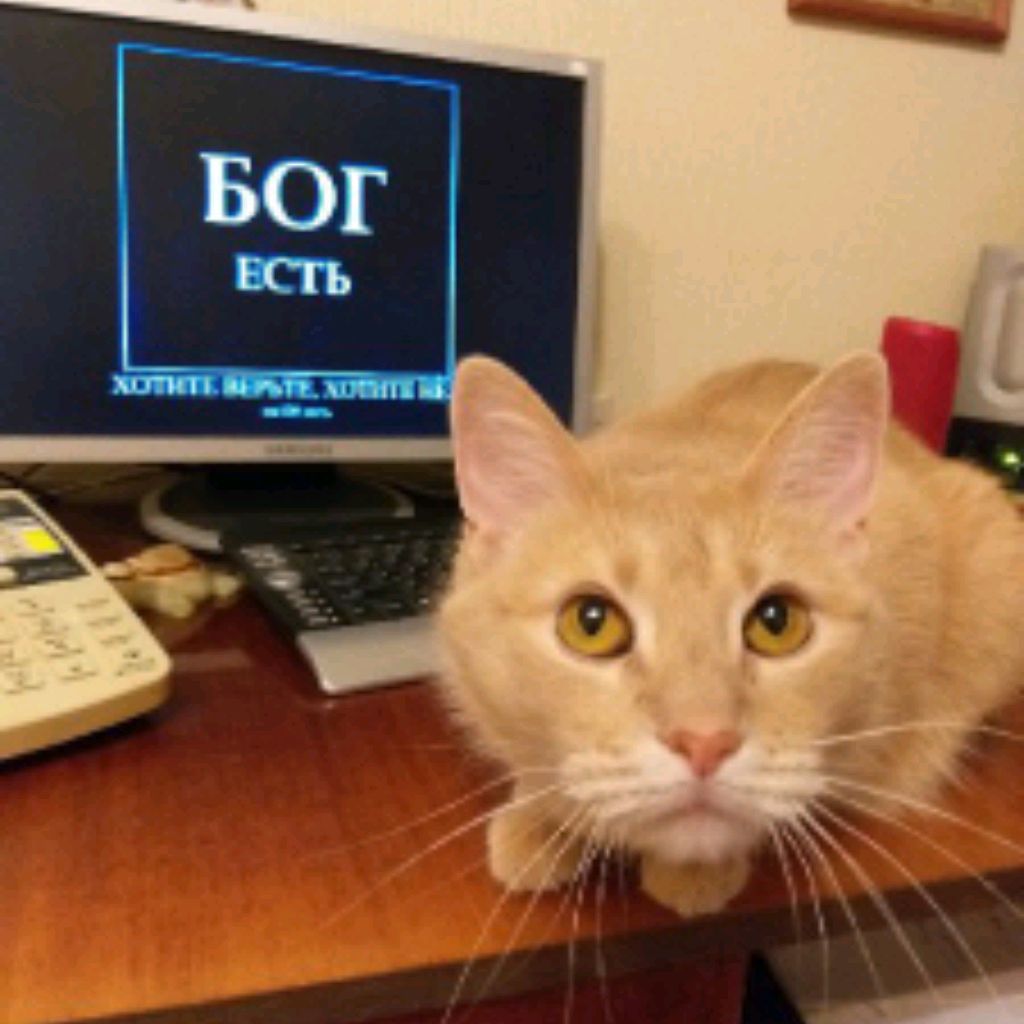 Иконка канала Natus Natus