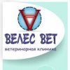 Иконка канала Ветеринарная стоматологическая клиника "Велес-Вет"
