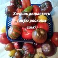 Иконка канала Минутка_Огородника