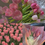 Иконка канала Твой Мир | Мысли