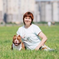 Иконка канала Моя Стая,совСемь не большая.🙃