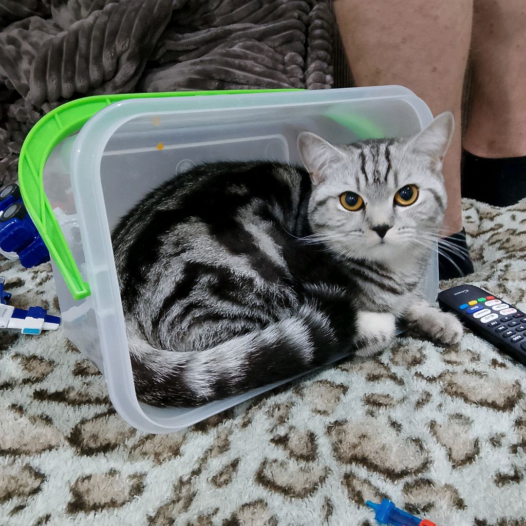 Иконка канала КириллВсемогущий