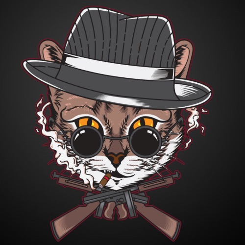 Иконка канала FrenzyCat