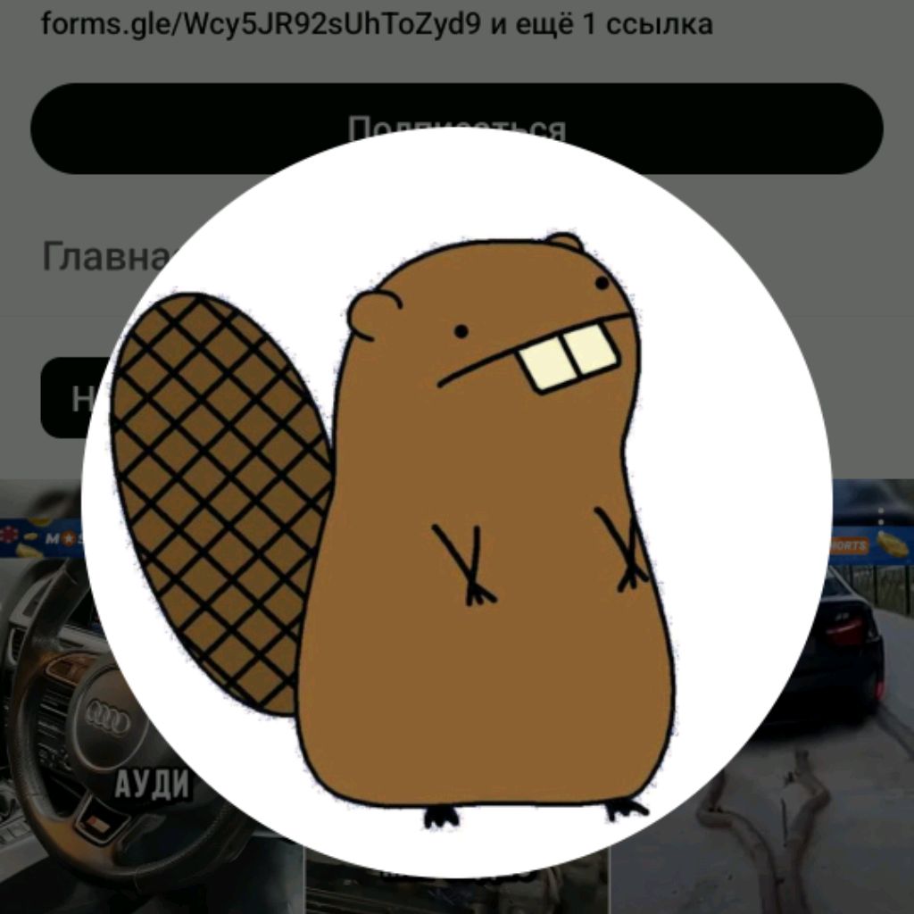 Иконка канала Бобр228