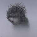 Иконка канала Ёжик в тумане