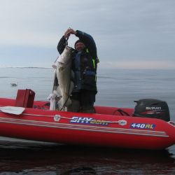 Иконка канала Рыбалка с Михалычем 51