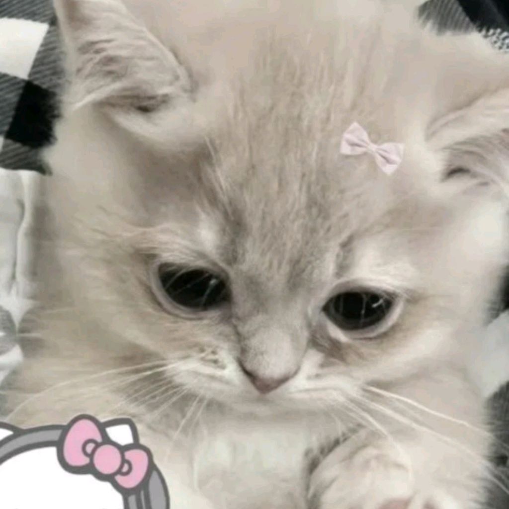 Иконка канала Котя Элина