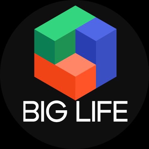 Иконка канала Big LIFE Центр финансового развития