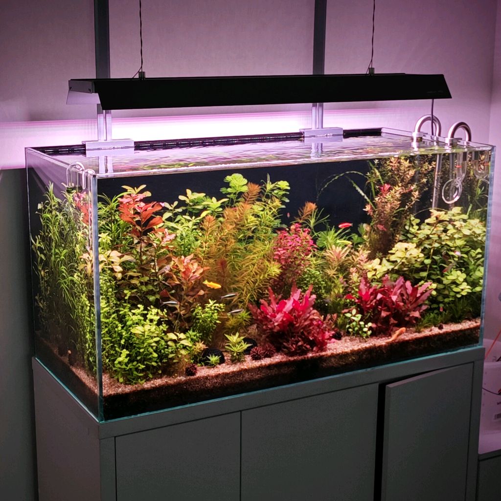 Иконка канала ЯЛЧИН | ПРО АКВАРИУМ