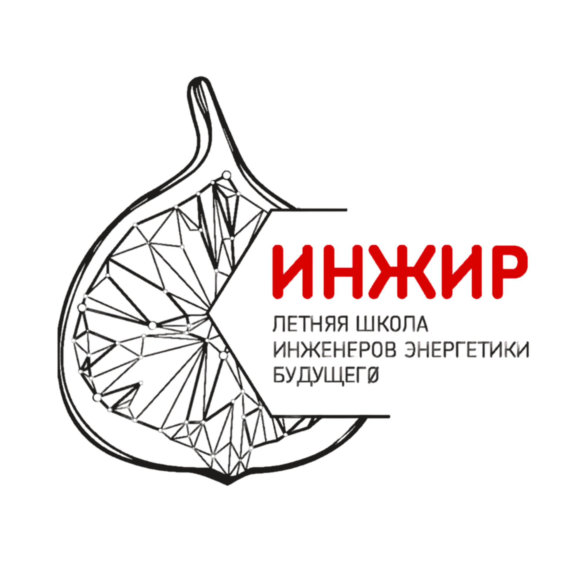 Иконка канала ИНЖИР