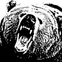 Иконка канала BROWN BEAR DIY