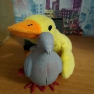 Иконка канала Голубиная империя