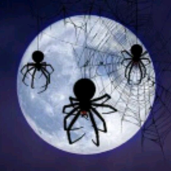 Иконка канала Spider Girl