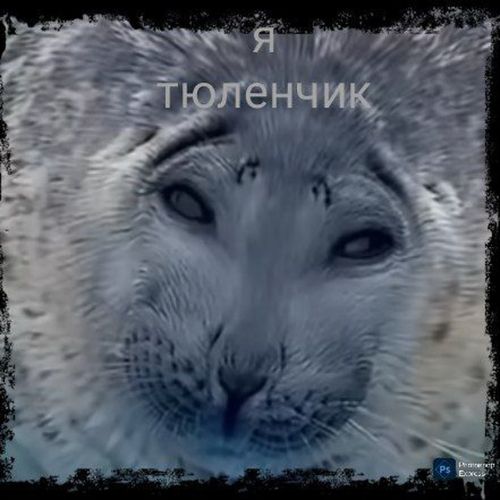 Иконка канала Sweet