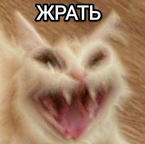 Иконка канала ps4 влог
