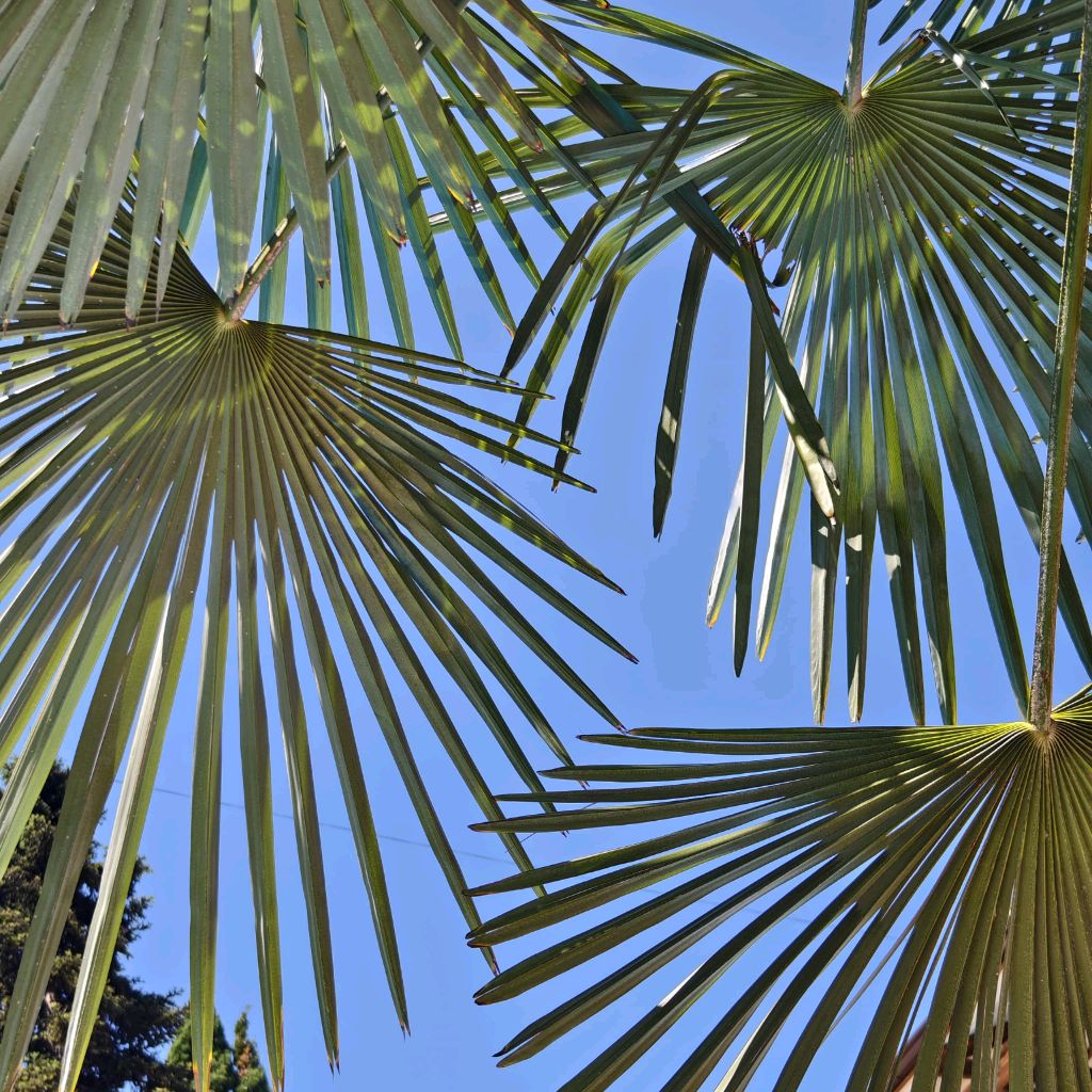 Иконка канала Всё про Всё