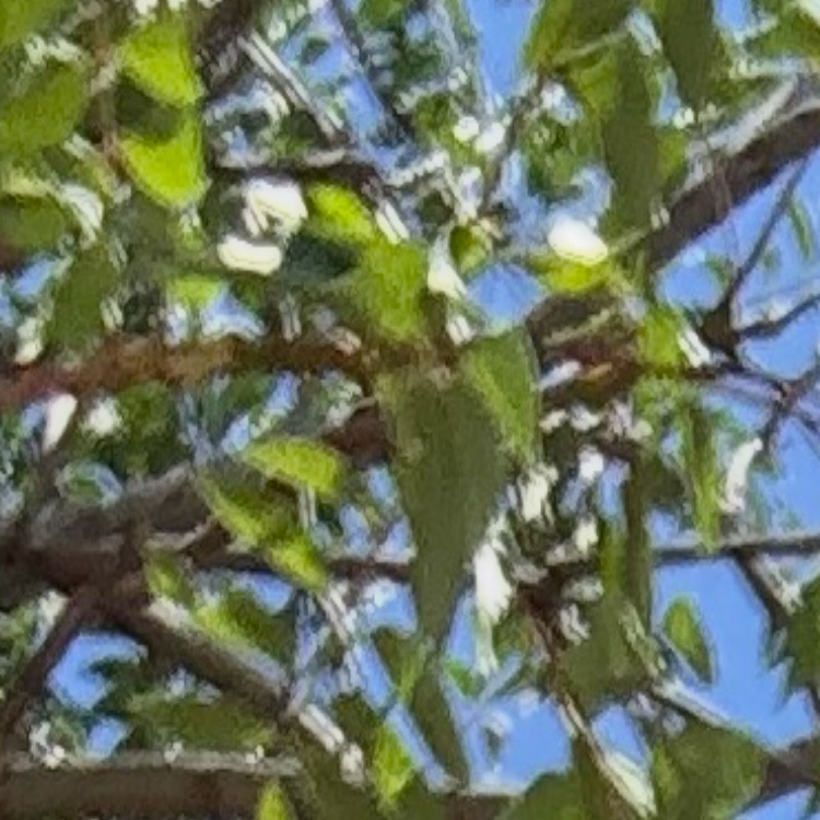 Иконка канала Aleks