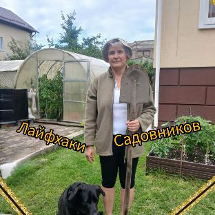 Иконка канала Лайфхаки для дачи