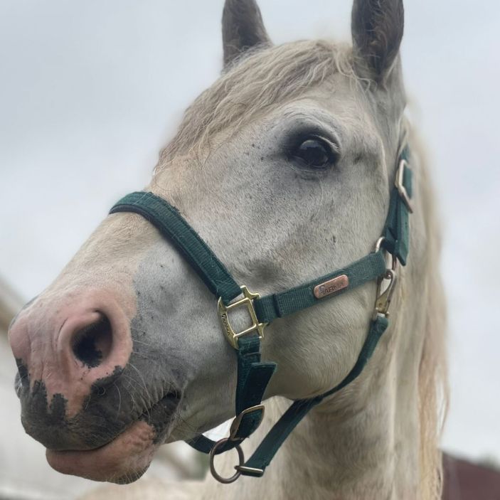 Иконка канала Радужный пегас125