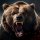 Иконка канала The Staggering Bear