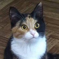 Иконка канала Проще простого!