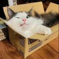 Иконка канала Путь героя