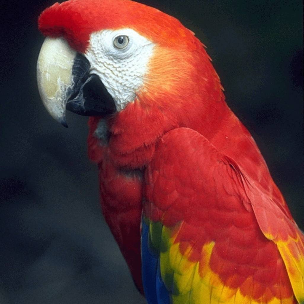 Иконка канала channel №777