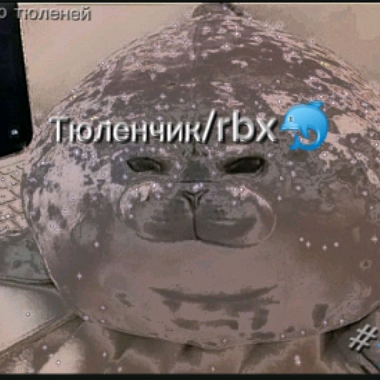 Иконка канала Тюленчик/rbx🐬