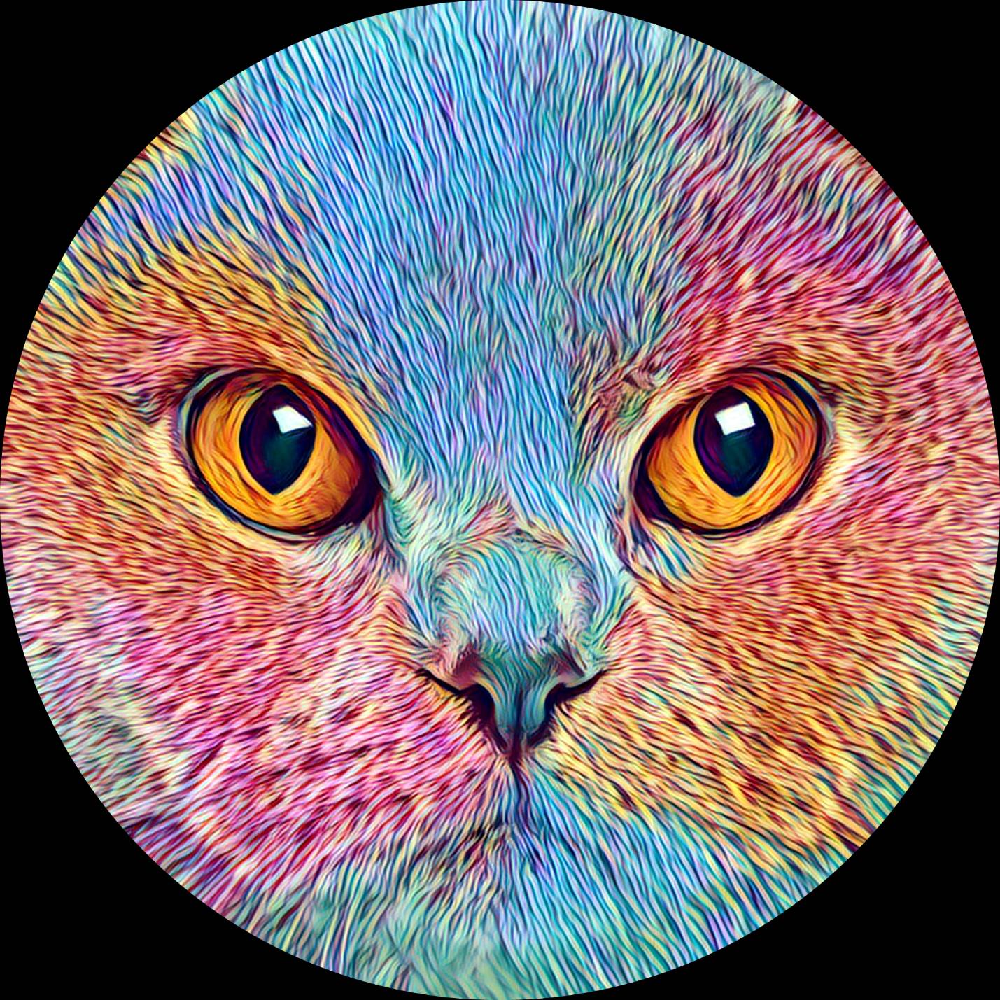 Иконка канала Moonlight