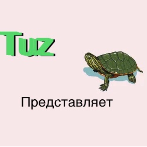 Иконка канала Черепаха Tuzik 2014