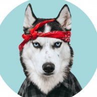 Иконка канала Собаки VS Кошки