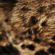 Иконка канала Серж