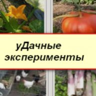 Иконка канала уДачные эксперименты