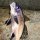 Иконка канала Seryoga Fishing Yalta