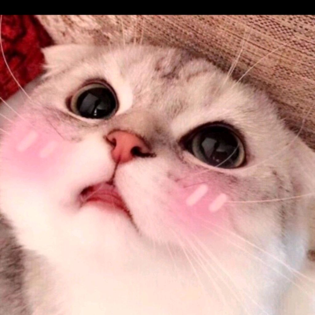 Иконка канала 💗Малика Малина💗