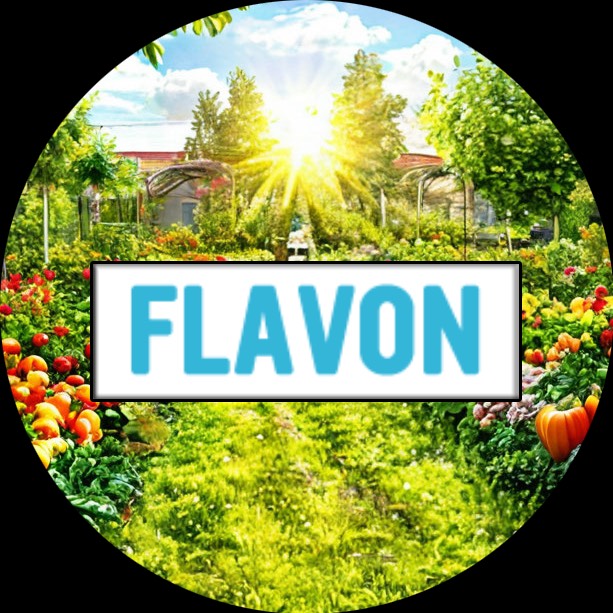 Иконка канала Flavon
