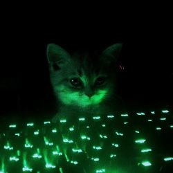 Иконка канала Kitten_geams