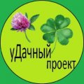 Иконка канала уДачный проект