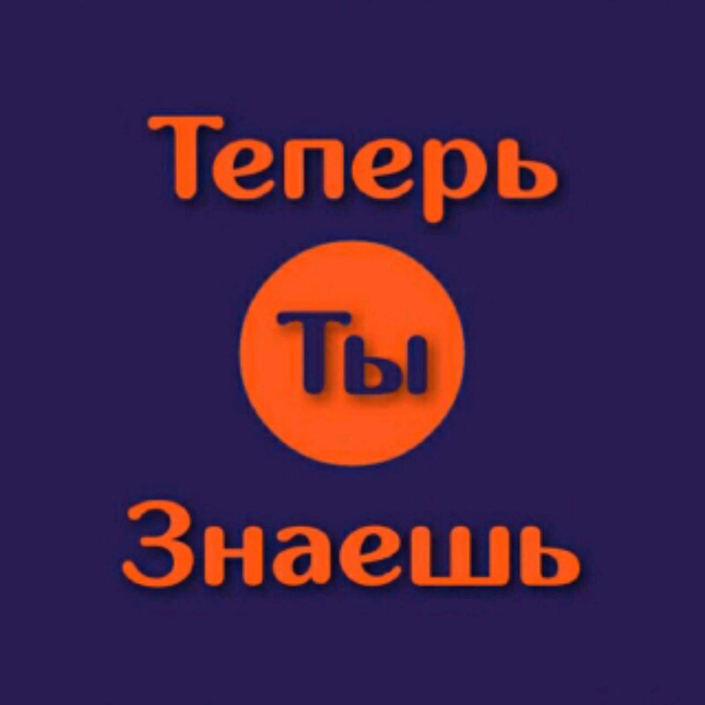Иконка канала Теперь ты знаешь 🤔