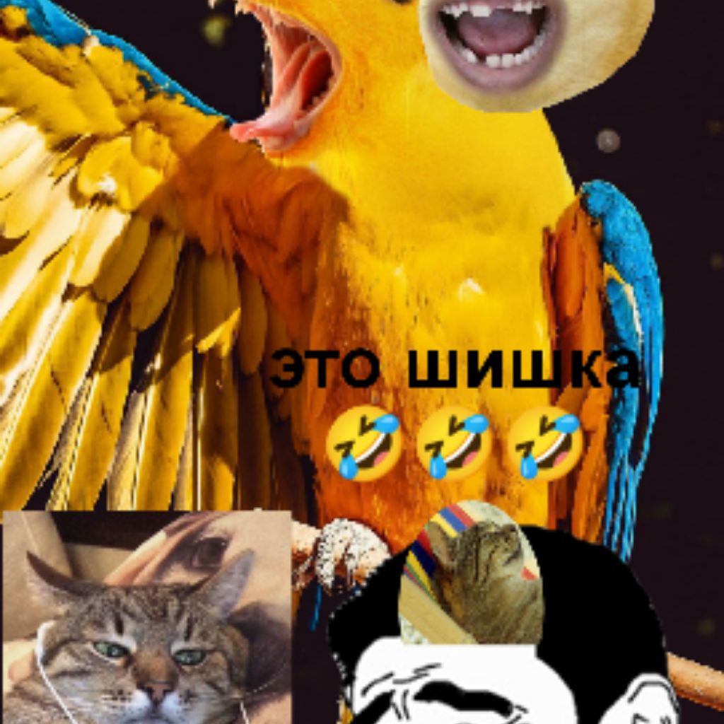 Иконка канала Степан И Смешные Видео