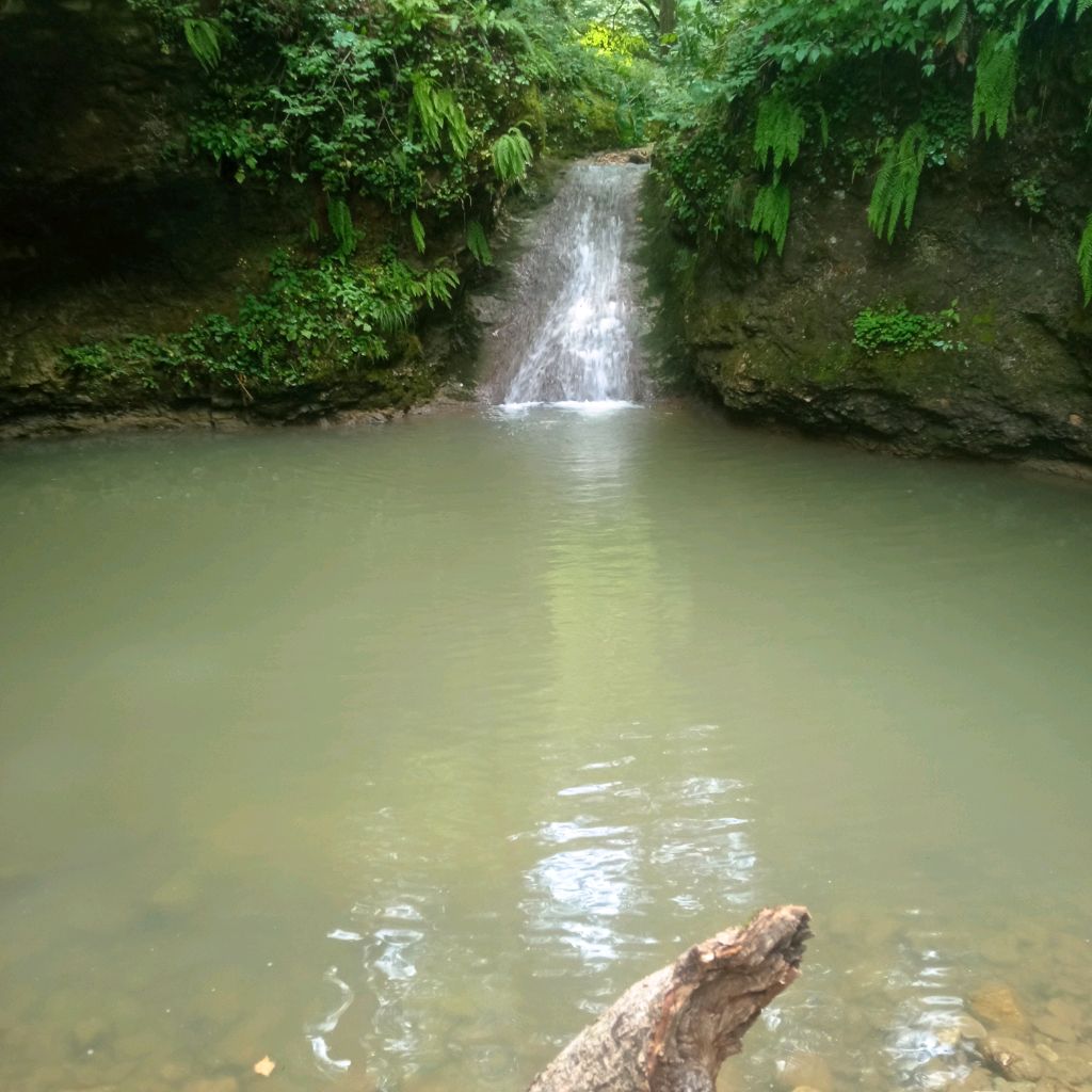 Иконка канала Максим