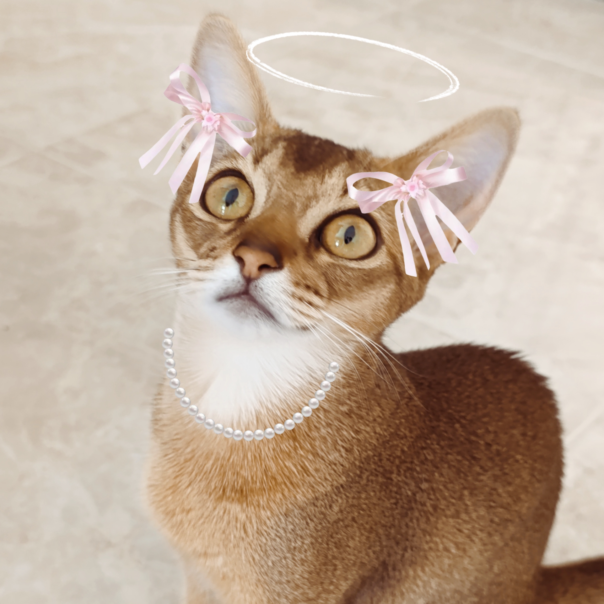 Иконка канала Lunka_Xips😼