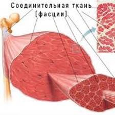 Иконка канала Рамазанова Ирада
