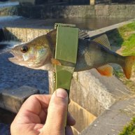 Иконка канала Дед о рыбалке и не только