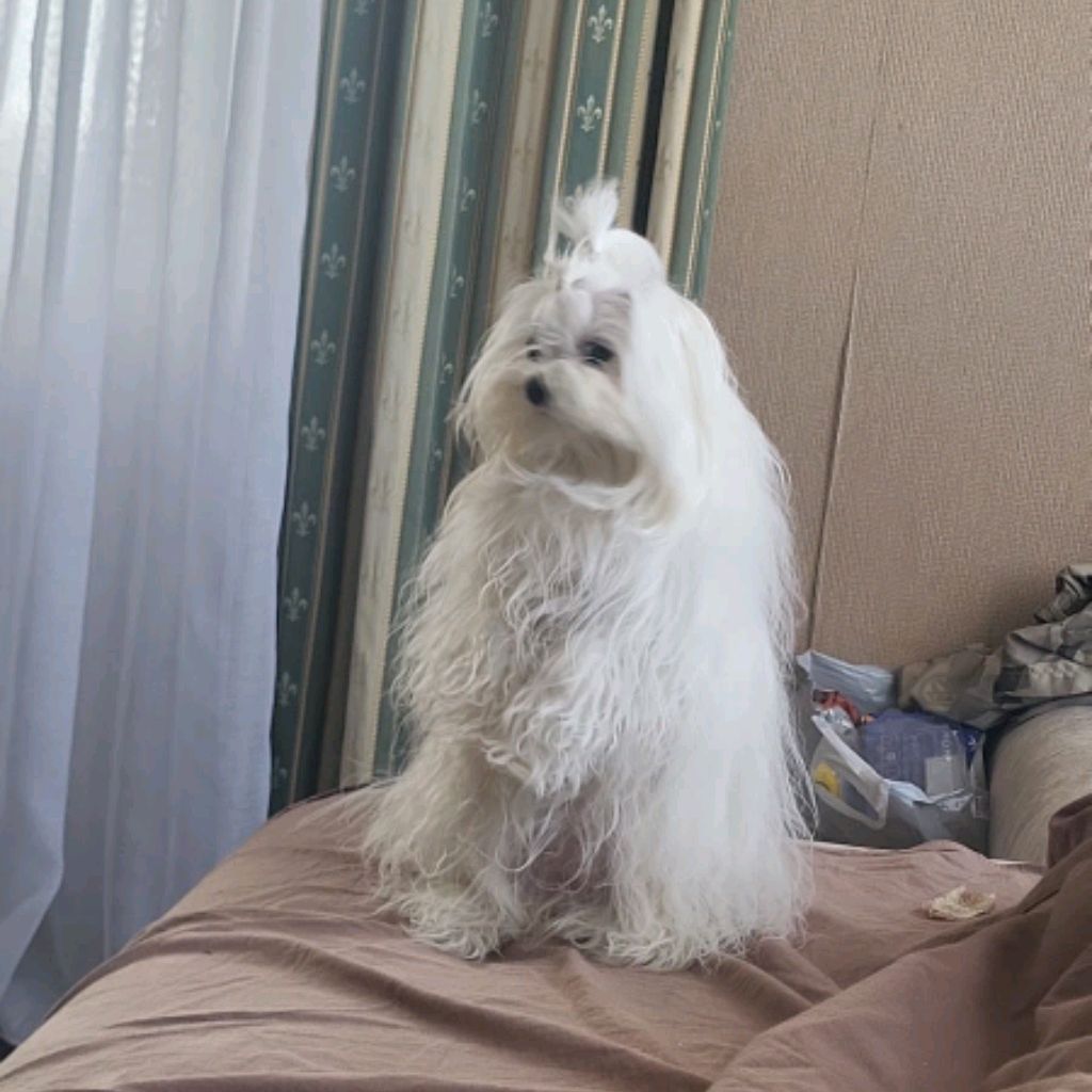 Иконка канала Катя 228