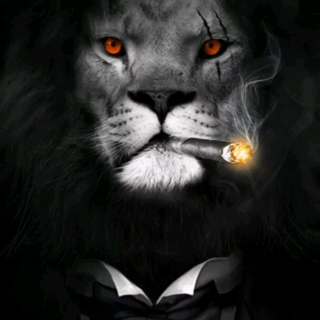 Иконка канала channel32114251