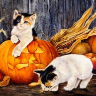 Иконка канала Маленькие комочки счастья, вихрь игр .