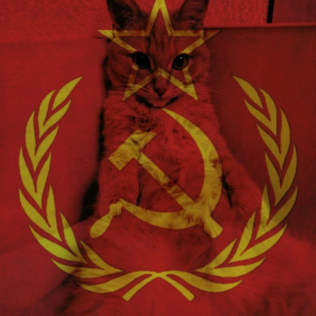 Иконка канала Котёнок Маркиз