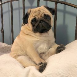 Иконка канала марик